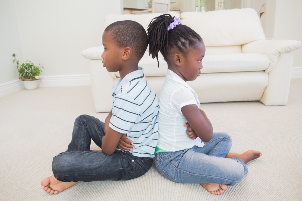 Why Do Siblings Fight Ottawa Counselling Mediation Services